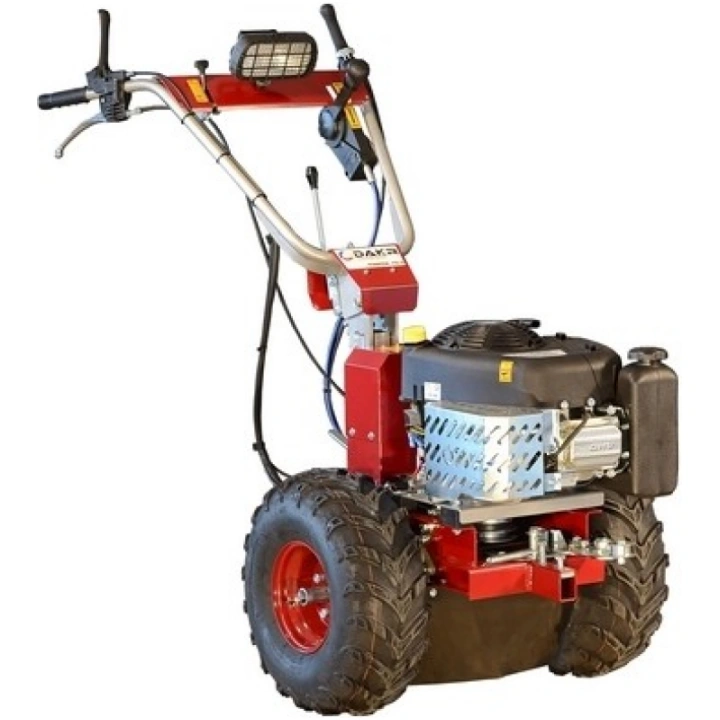 Panter FD3 briggs | Salidzini.lv